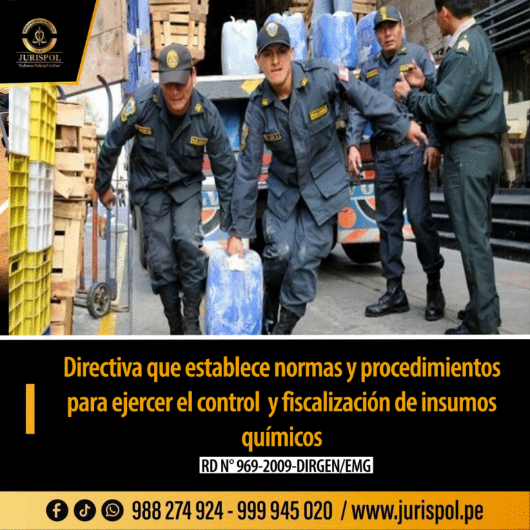 Directiva que establece normas y procedimientos para ejercer el control ...