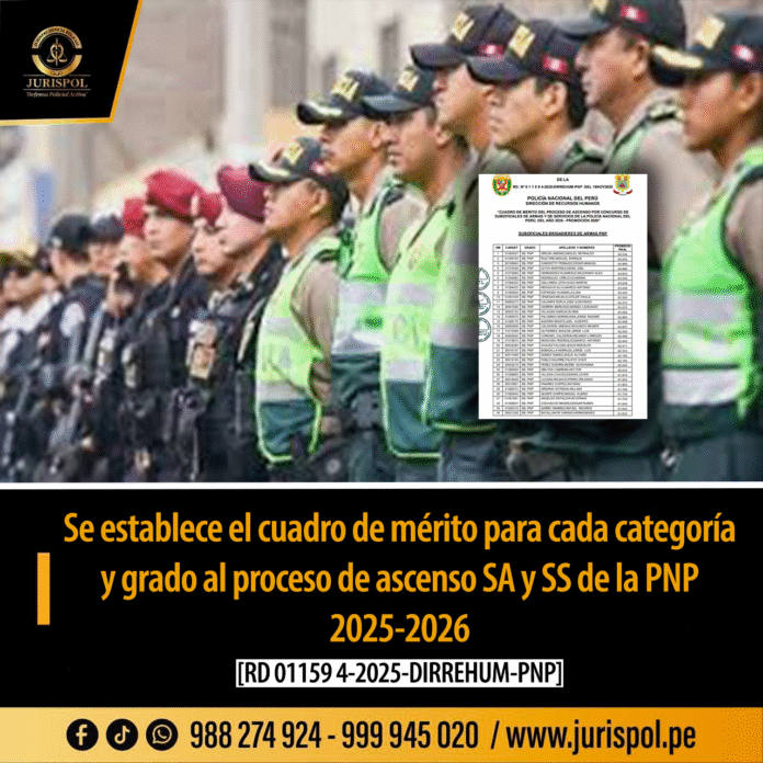 Se establece el cuadro de mérito para cada categoría y grado al proceso ...